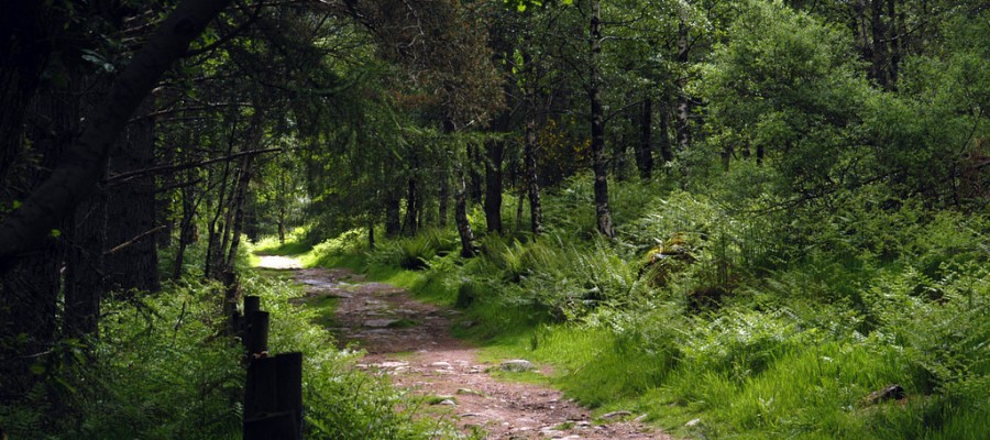 Deeside Way | Drumoak to Banchory - Deeside | Way | Route | Walk ...